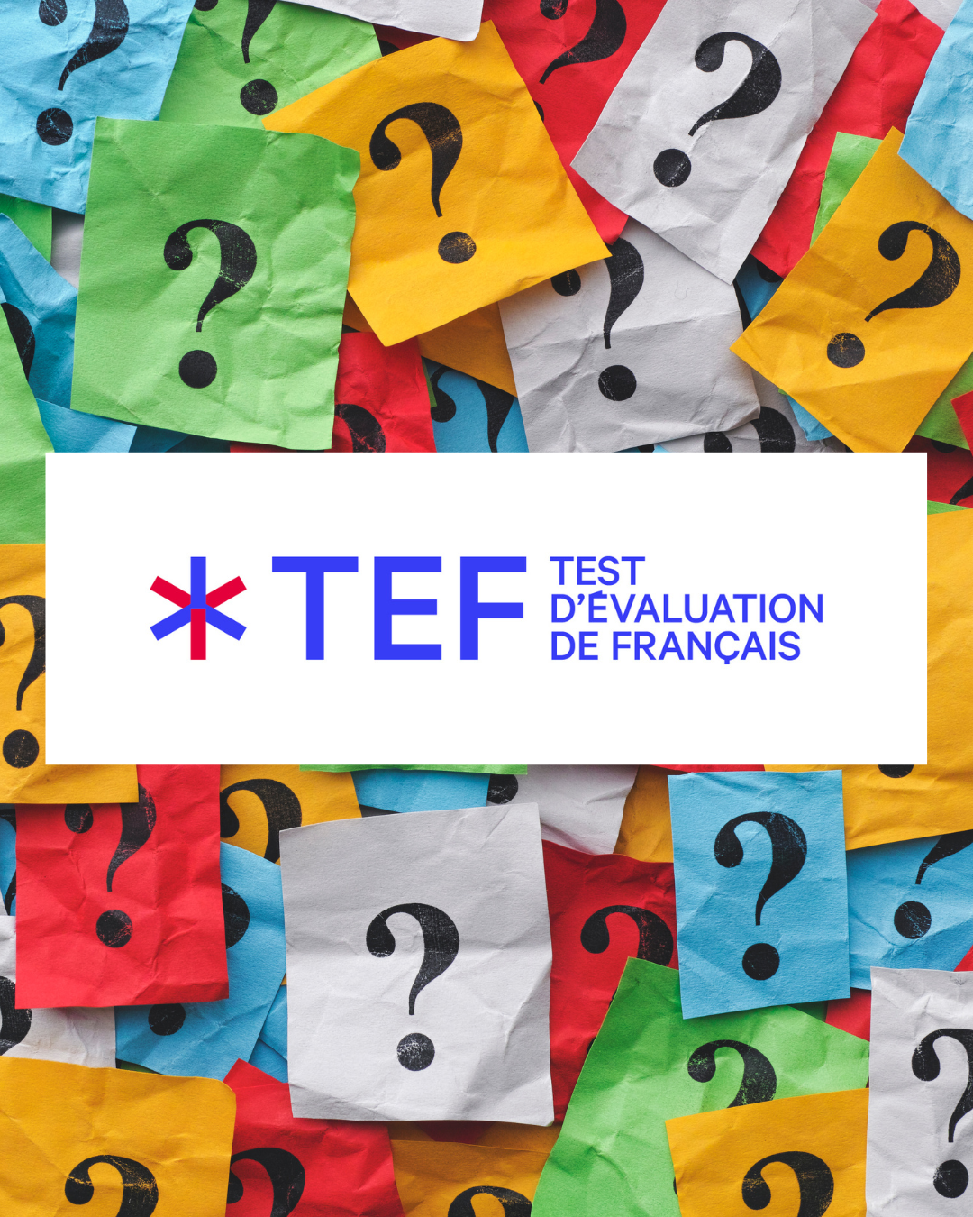 TEF IRN – Questions fréquentes et réponses utiles | LiL'Langues